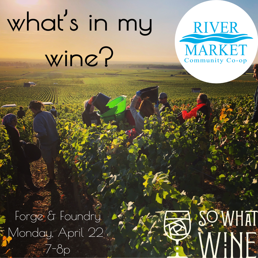 Classes & Experiences – So What Wine